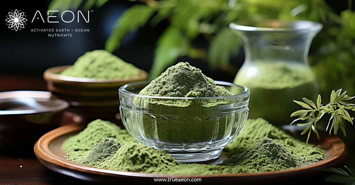 Best Greens Powder for Stress Relief and Cognitive Performance – TRUE AEON